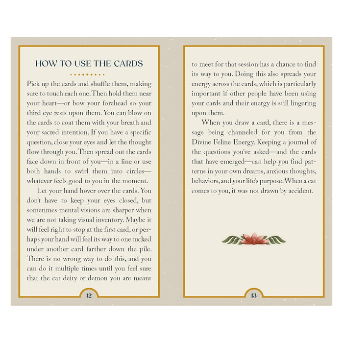 Cat Gods, Goddesses, Deities, and Demons Oracle Deck by Lucy Rose and ...
