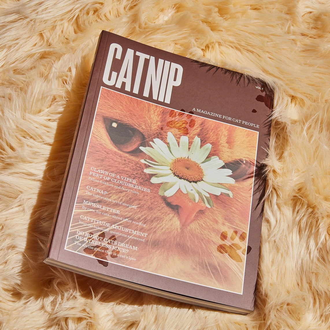 Catnip Magazine by Broccoli