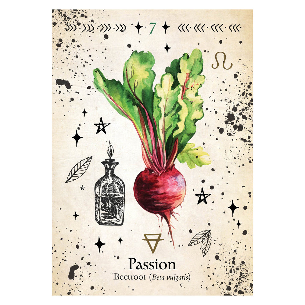 Green Witch Oracle Cards by Cheralyn Darcey