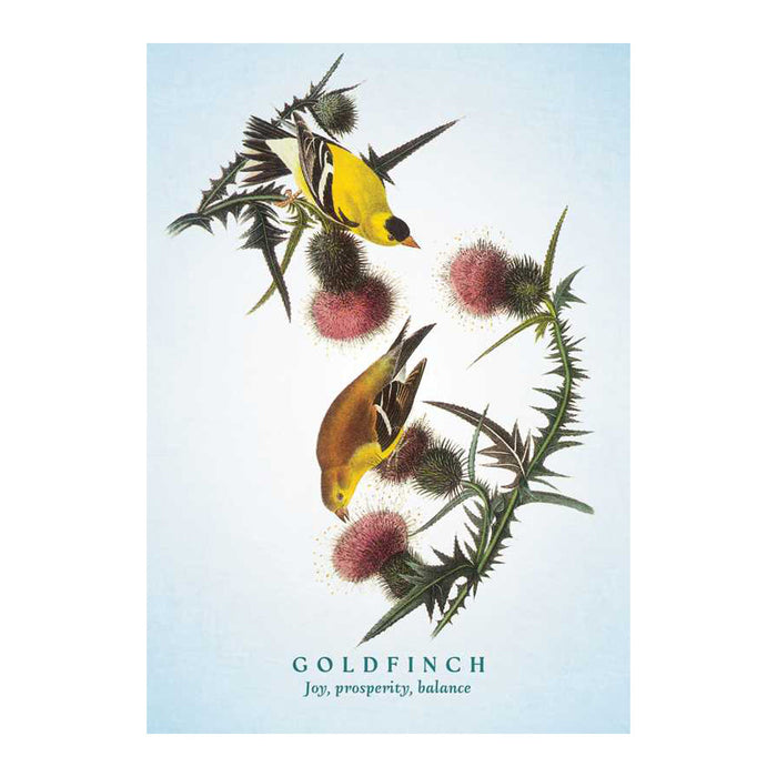 Spiritual Meaning of Birds Oracle Deck by Arin Murphy-Hiscock
